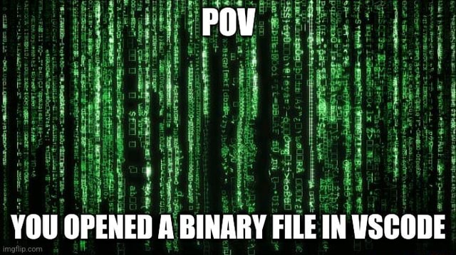 YOU OPENED A BINARY FILE IN VSCODE - iFunny