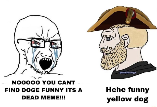 NOOOOO YOU CANT . FIND DOGE FUNNY ITS A Hehe funny DEAD MEME!!! yellow ...