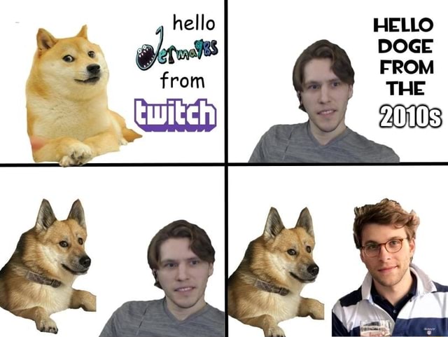 Hello DOGE THE - iFunny