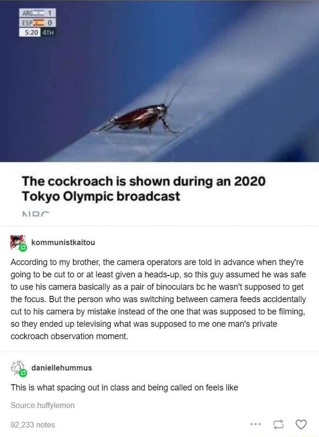 The cockroach is shown during an 2020 Tokyo Olympic broadcast According to my brother, the ...