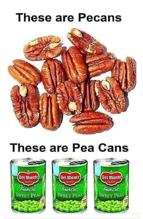 These are Pecans These are Pea Cans - iFunny