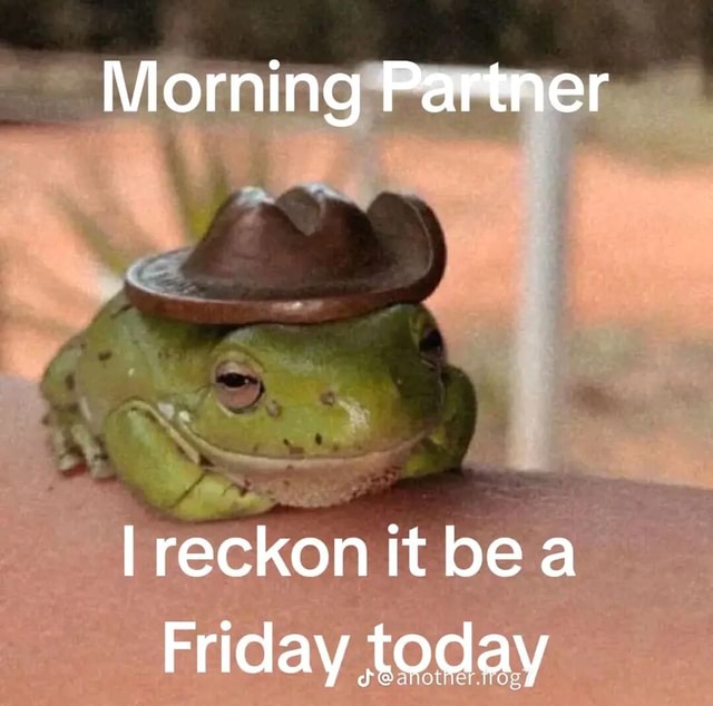 Morning Partner I reckon it be Friday today - iFunny