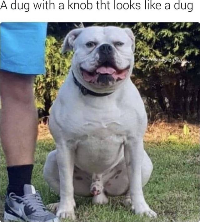 A dug with a knob tnt looks like a dug - iFunny