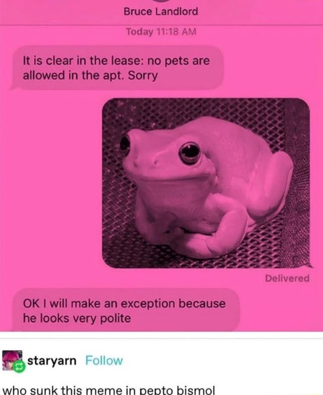 Bruce Landlord Today AM It is clear in the lease: no pets are allowed ...