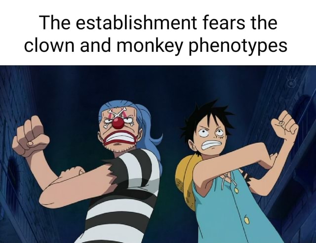 The establishment fears the clown and monkey phenotypes - iFunny