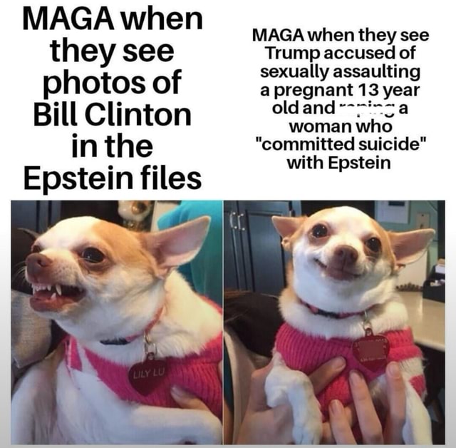 MAGA when MAGA when they see they see Trump accused of sexually ...