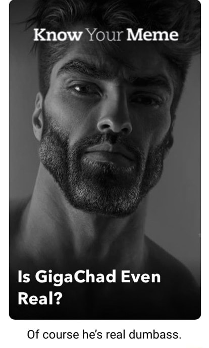 Know Your Meme Is GigaChad Even Real? Of course he's real dumbass. - iFunny