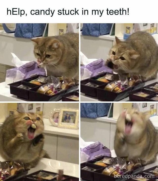 Someone got into the Halloween candy - hElp, candy stuck in my teeth ...