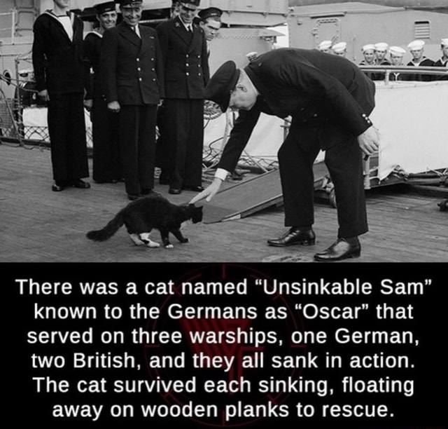 There was a cat named "Unsinkable Sam" known to the Germans as "Oscar ...