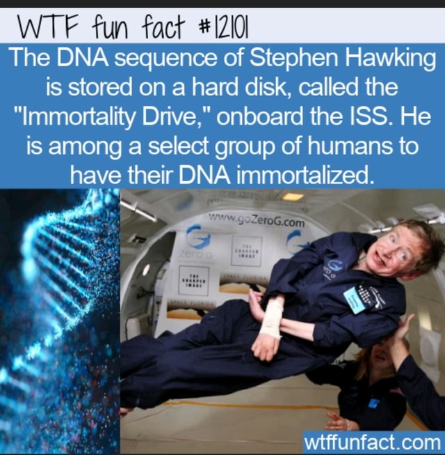 WT fun fact The DNA sequence of Stephen Hawking is stored on a hard ...