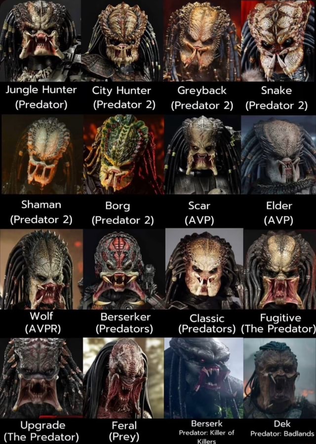 Jungle Hunter City Hunter Greyback Snake (Predator) (Predator 2 ...