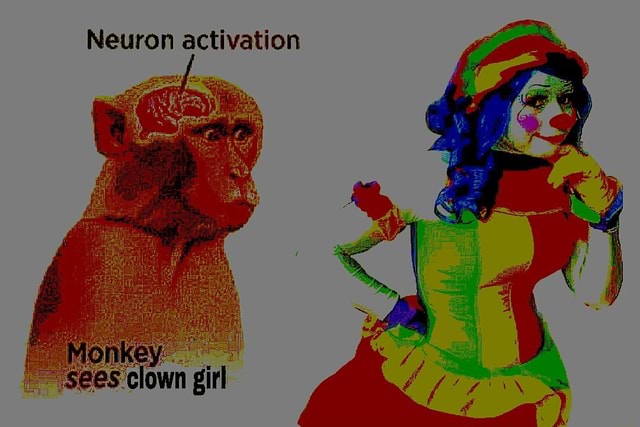 Neuron activation "Monkey sees clown girl - iFunny