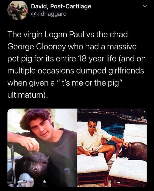 David, age @kidhaggard The virgin Logan Paul vs the chad George Clooney ...