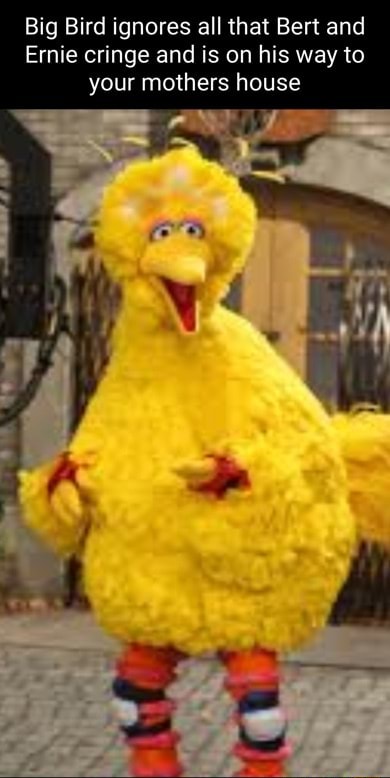 Big Bird ignores all that Bert and Ernie cringe and is on his way to ...