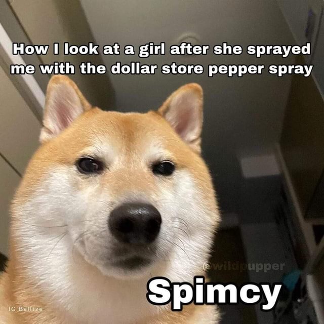 How I look at a girl after she sprayed me with the dollar store pepper ...