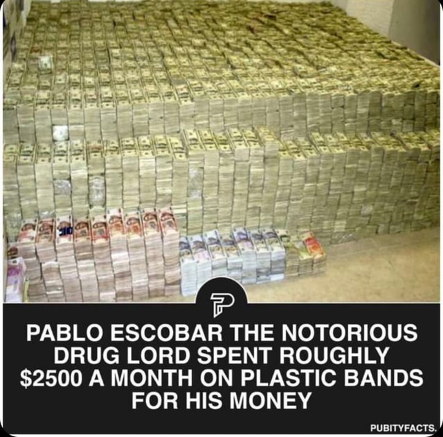 PABLO ESCOBAR THE NOTORIOUS DRUG LORD SPENT ROUGHLY $2500 A MONTH ON ...
