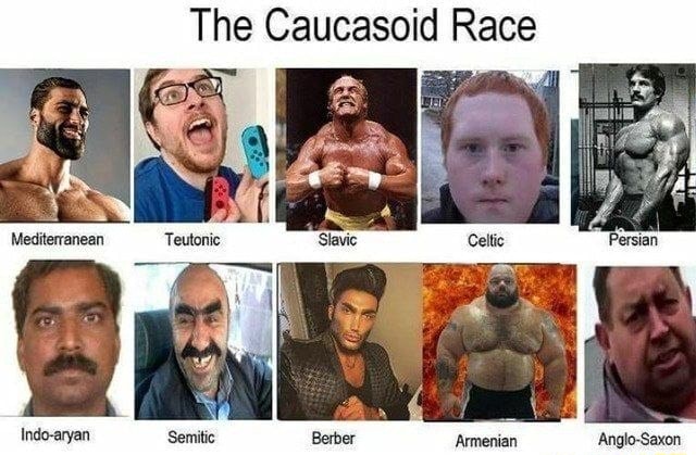 The Caucasoid Race Indo-aryan 'Anglo-Saxon - iFunny