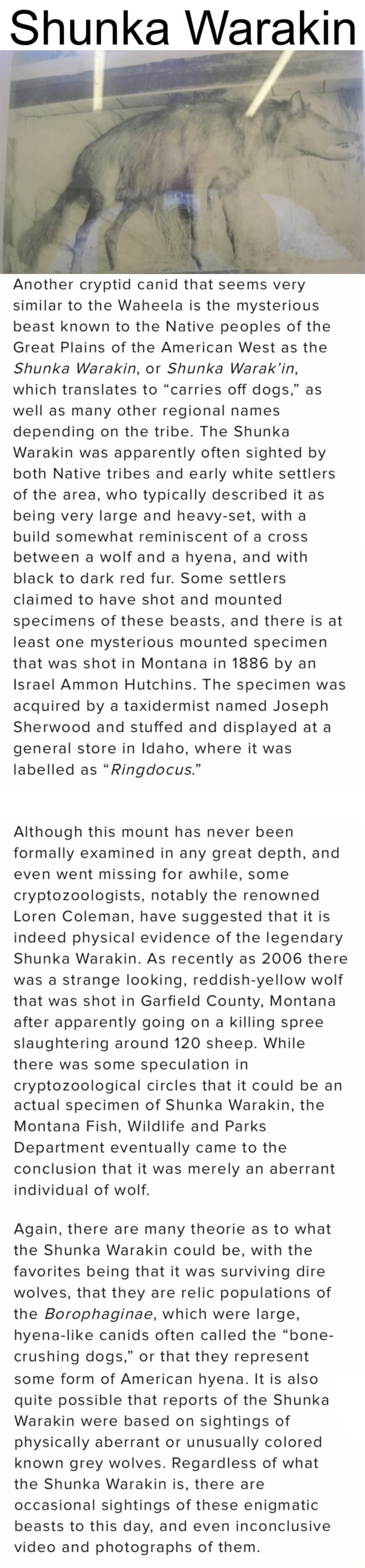 Shunka Warakin Another cryptid canid that seems very similar to the ...