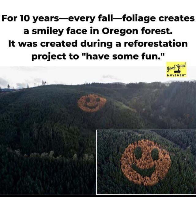 For 10 years-every fall-foliage creates a smiley face in Oregon forest ...