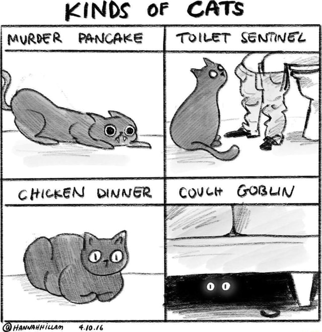 KINDS oF CATS PANCAKE TOILET LAM - iFunny