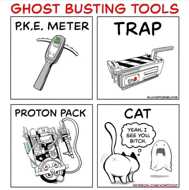 GHOST BUSTING TOOLS PK.E. METER TRAP - America’s best pics and videos