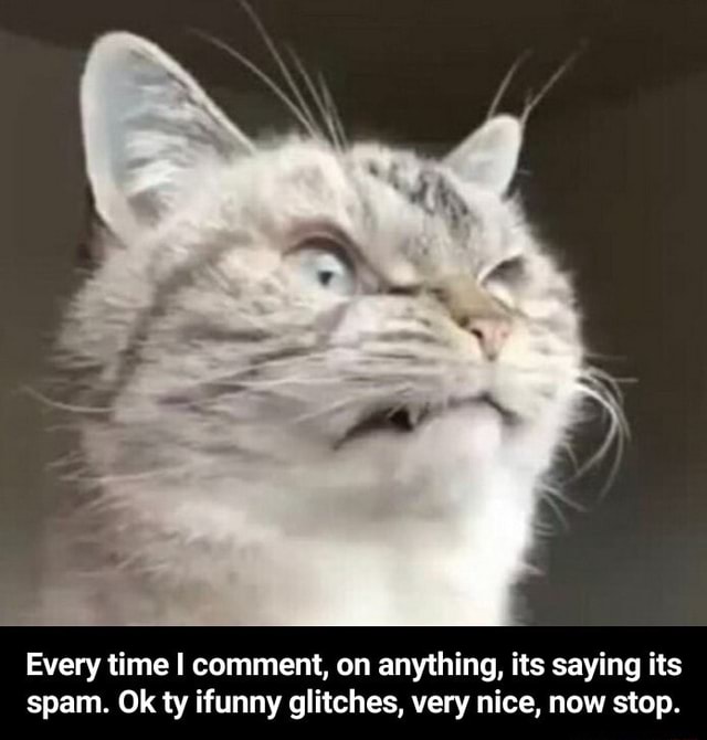 Every time I comment, on anything, its saying its spam. Ok ty ifunny ...