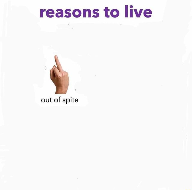 Reasons to live out of spite - iFunny
