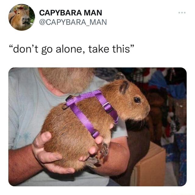 CAPYBARA MAN & @CAPYBARA_MAN "don't go alone, take this" - iFunny