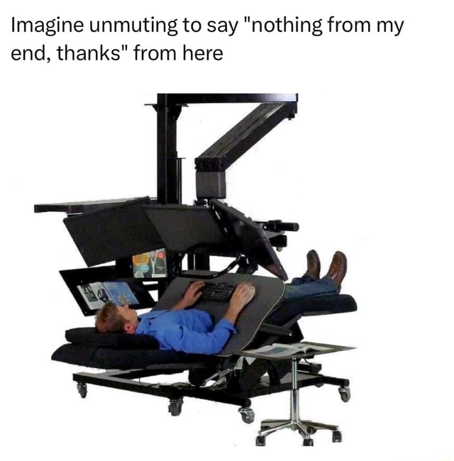 Imagine unmuting to say "nothing from my end, thanks" from here - iFunny