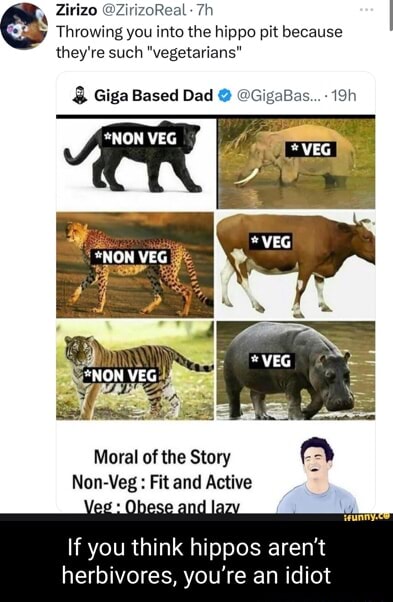 I Throwing you into the hippo pit because Zirizo @ZirizoReal they re ...