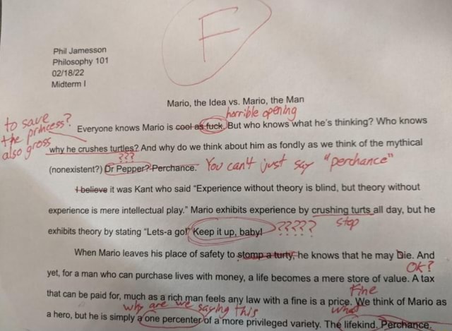 Phil Jamesson Philosophy 101 Midterm Mario The Vs Mario The Man Ple phil-jamesson-philosophy-101-midterm-mario-the-vs-mario-the-man-ple