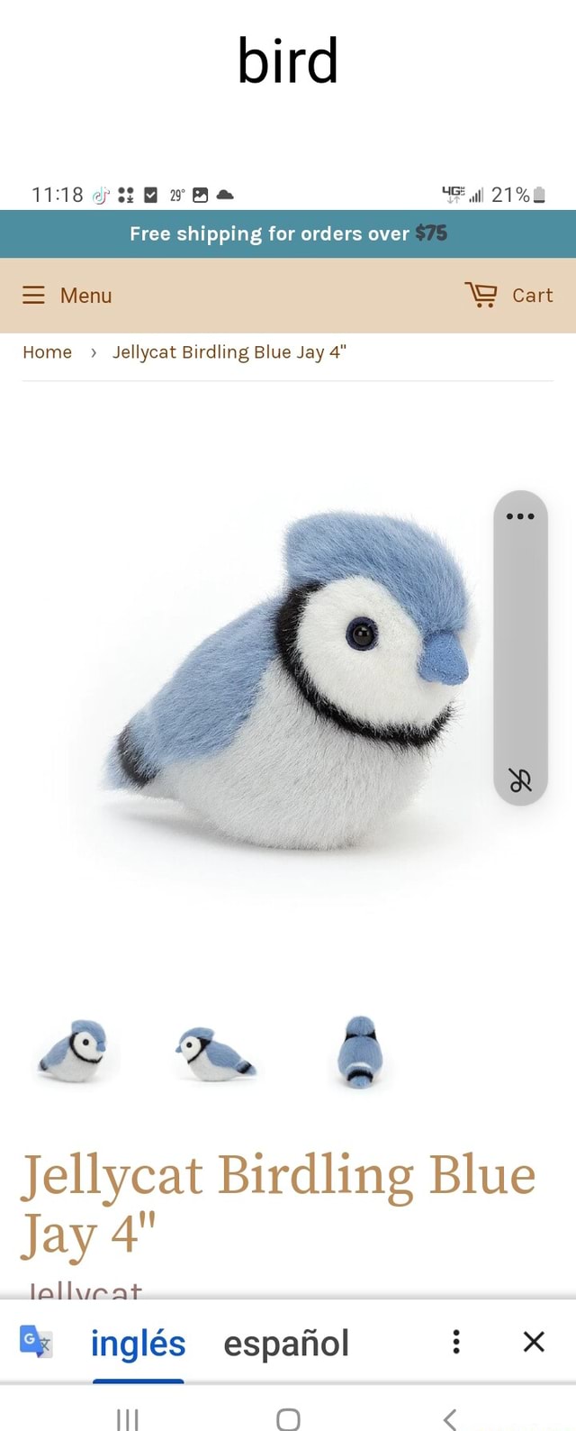 Bird FF all 21% cart Free shipping for orders over 1118 Menu Home ...