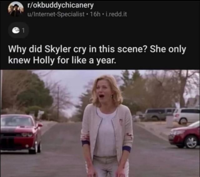 Wokbuddychicanery uflnternet Specie read Why did Skyler cry in this ...