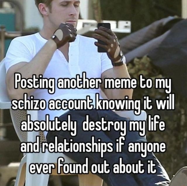Posting another meme to my schizo account knowing it will absolutely ...