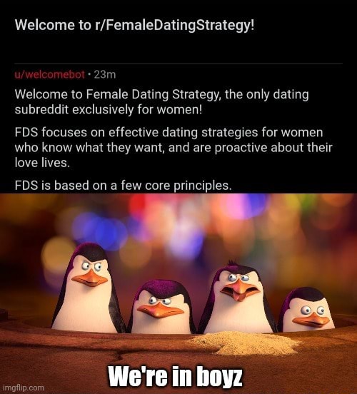 Welcome to Welcome to Female Dating Strategy, the only dating subreddit ...