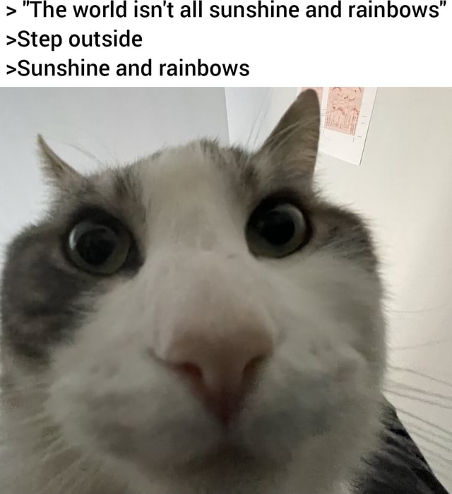> "The world isn't all sunshine and rainbows' >Step outside >Sunshine and rainbows - iFunny