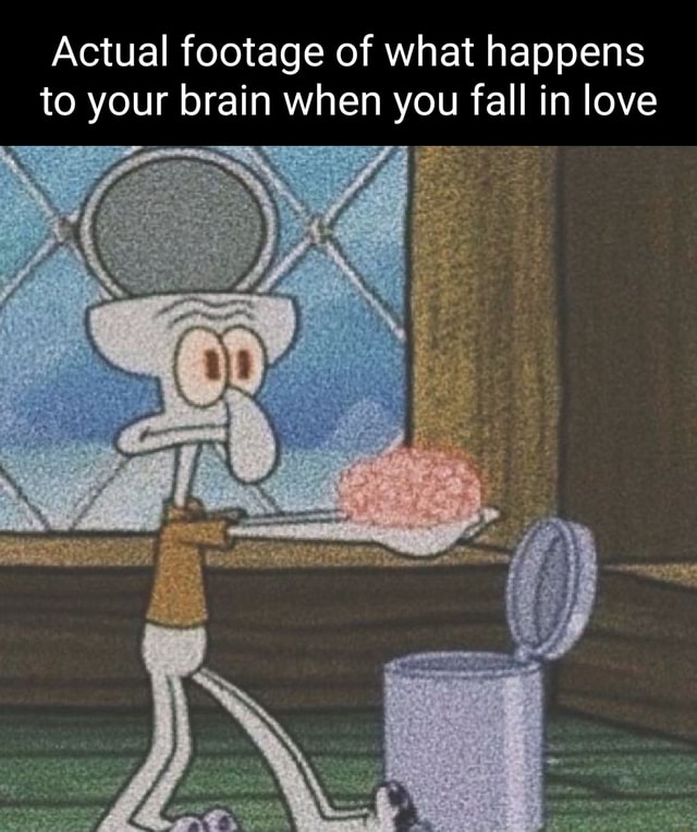 Actual Footage Of What Happens To Your Brain When You Fall In Love 