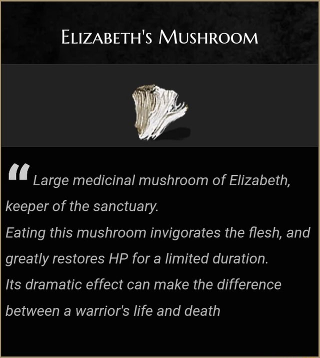ELIZABETH'S MUSHROOM keeper of the sanctuary. Large medicinal mushroom ...