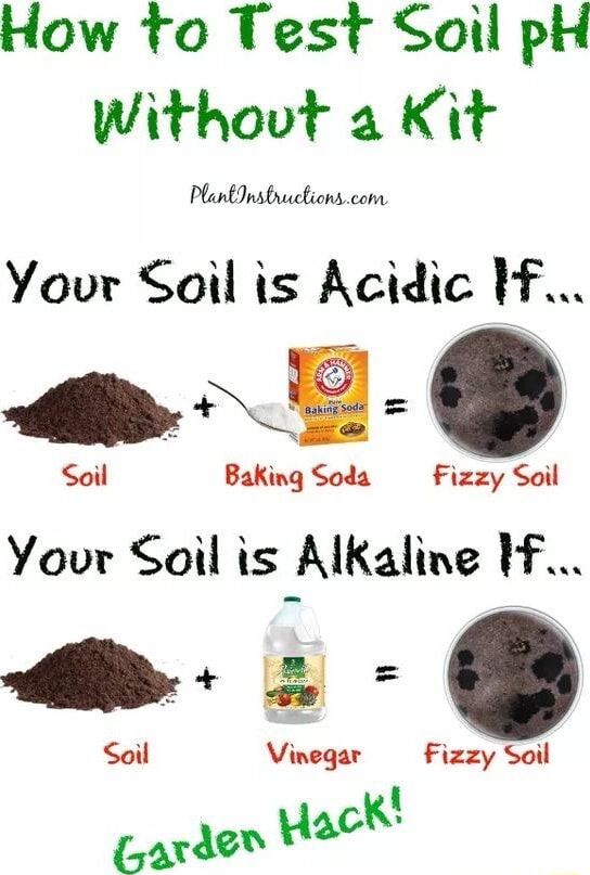 How to Test Soil pH Without a Kit Instrccliens com Your Soil is Acidic ...