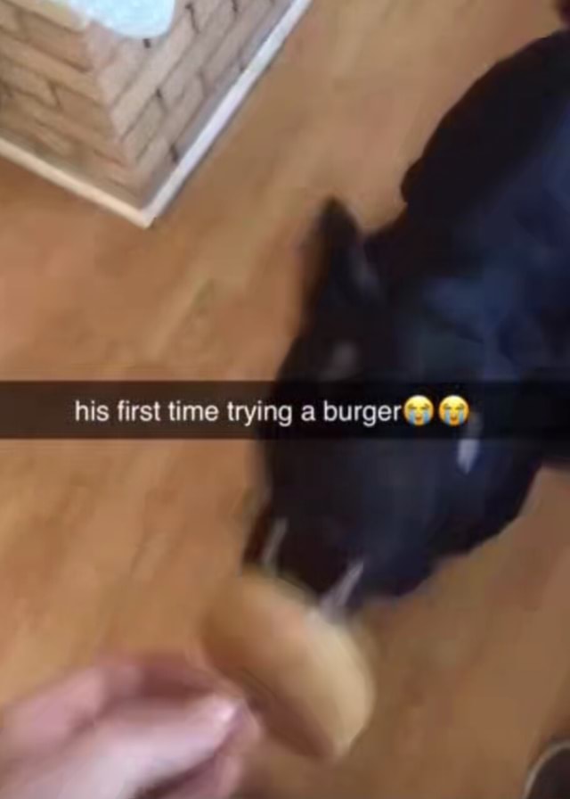 His first time trying a burger@ - iFunny