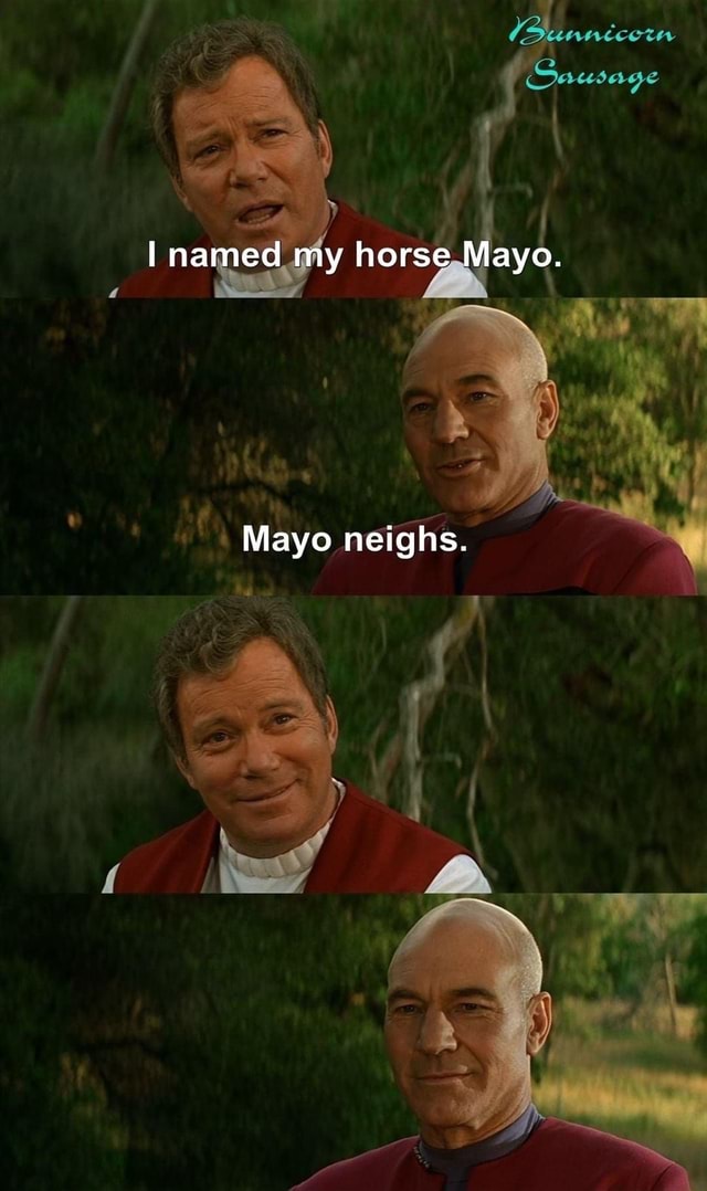 Named my horse Mayo. Mayo neighs. - iFunny