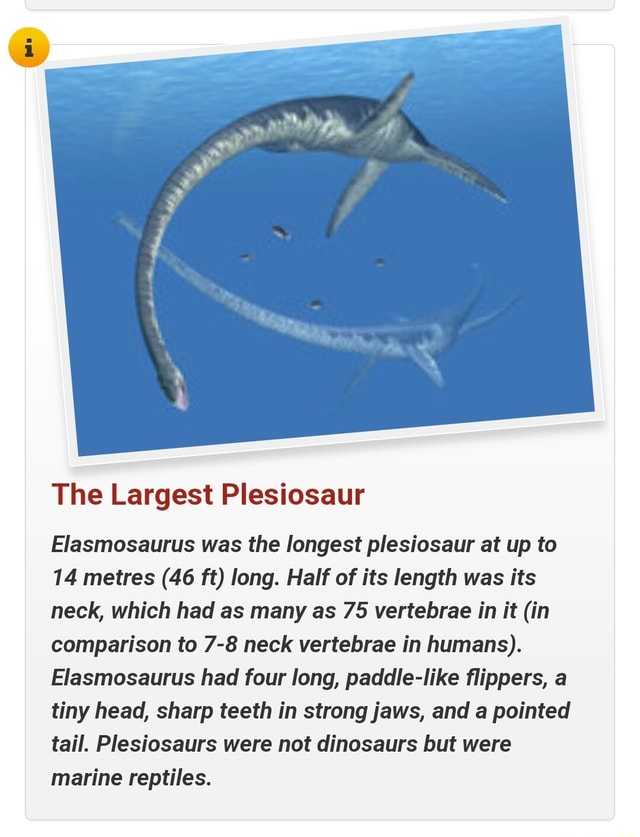 The Largest Plesiosaur Elasmosaurus was the longest plesiosaur at up to ...
