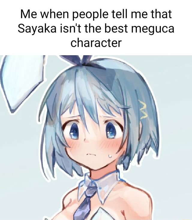 Me when people tell me that Sayaka isn't the best meguca character - iFunny