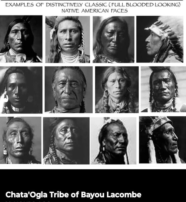 EXAMPLES OF DISTINCTIVELY CLASSIC (FULL BLOODED LOOKING) NATIVE ...