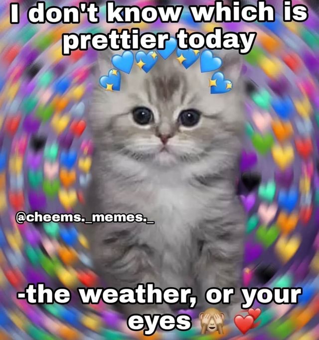 Don't know which is prettier today @cheems. memes._ Yo -the weather, or ...