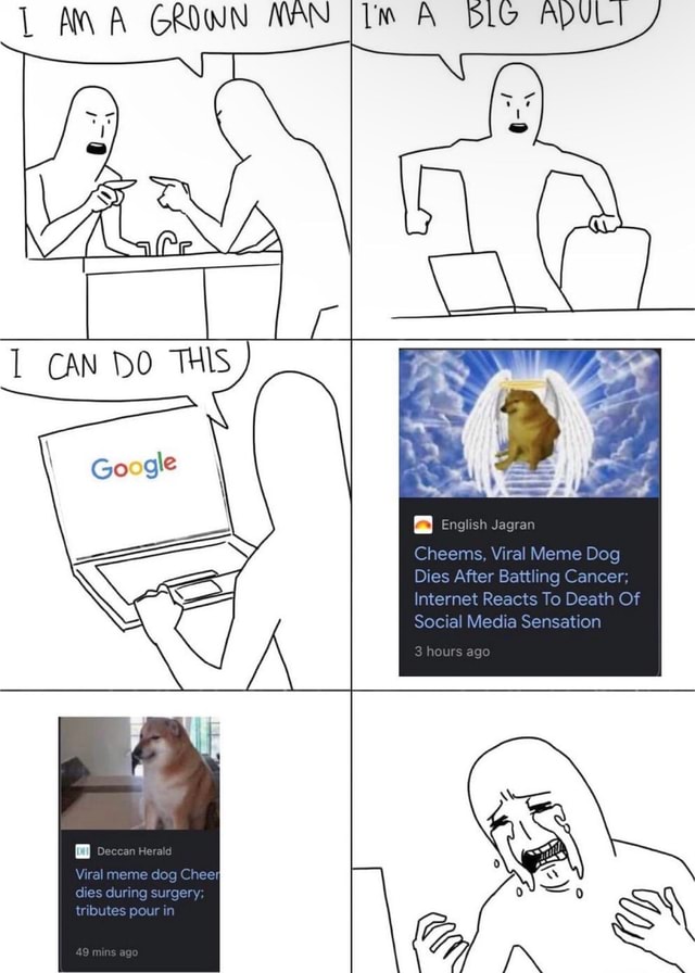 L A GROWN AWN English Jagran Cheems, Viral Meme Dog Dies After Battling ...