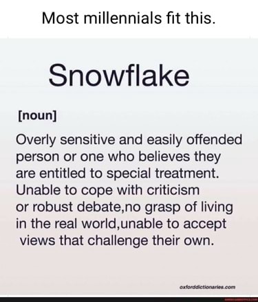 Most millennials fit this. Snowflake [noun] Overly sensitive and easily ...
