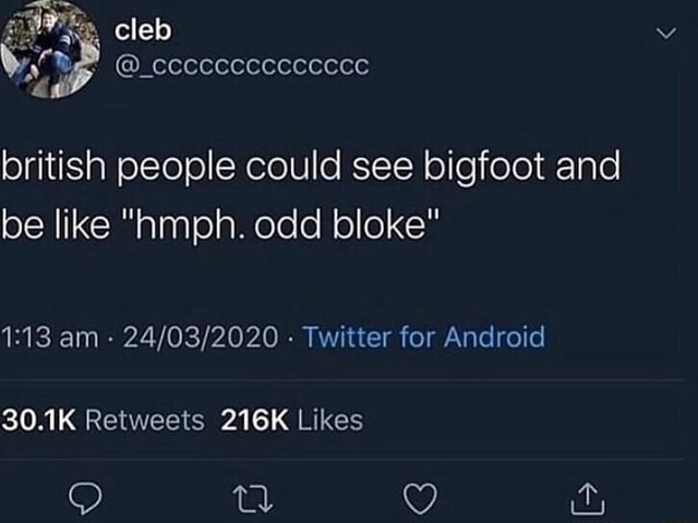 Cleb british people could see bigfoot and be like "hmph. odd bloke" am ...