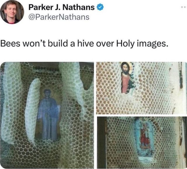 Parker J. Nathans @ParkerNathans a hive over Holy images. Bees won't bu ...