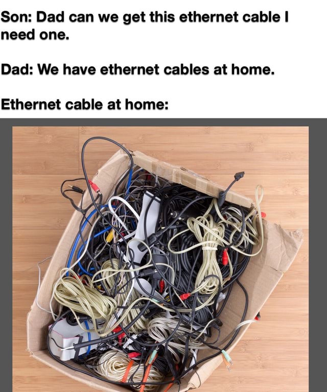 Son: Dad can we get this ethernet cable I need one. Dad: We have ...
